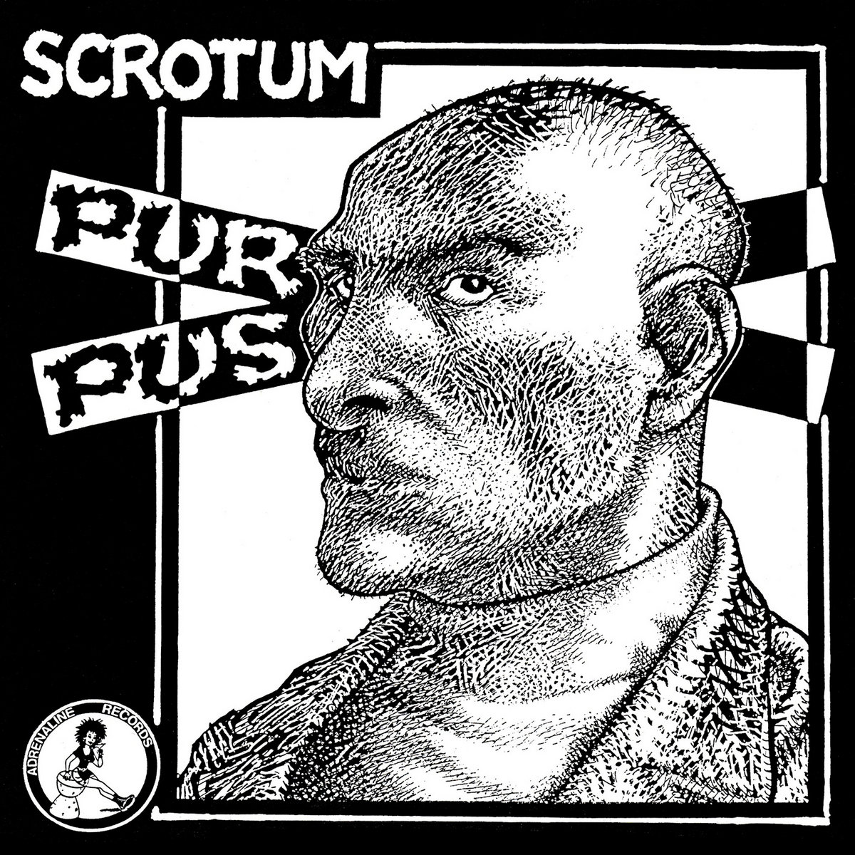 Pur Pus | Scrotum