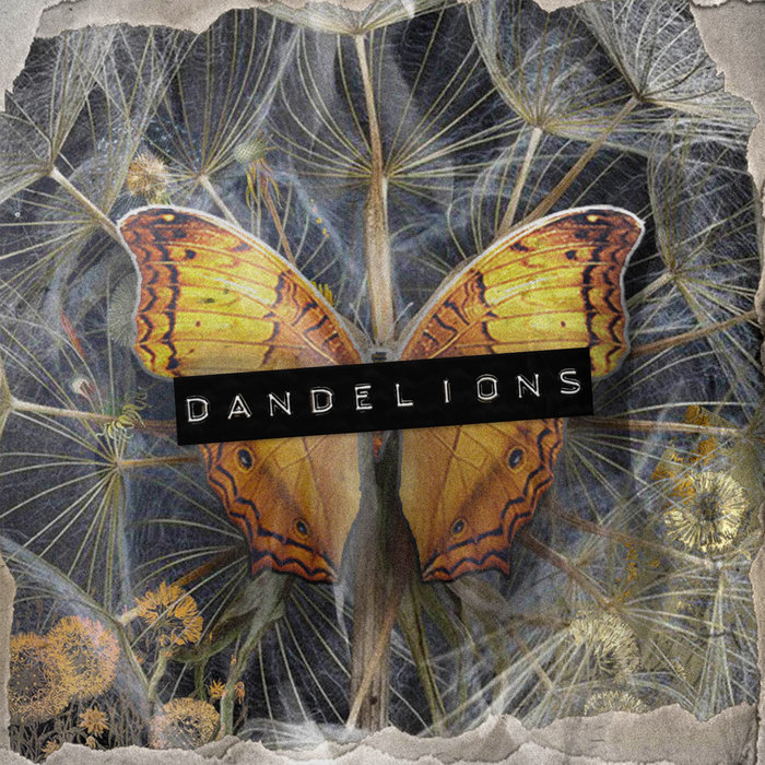 Dandelions | Dear Youth