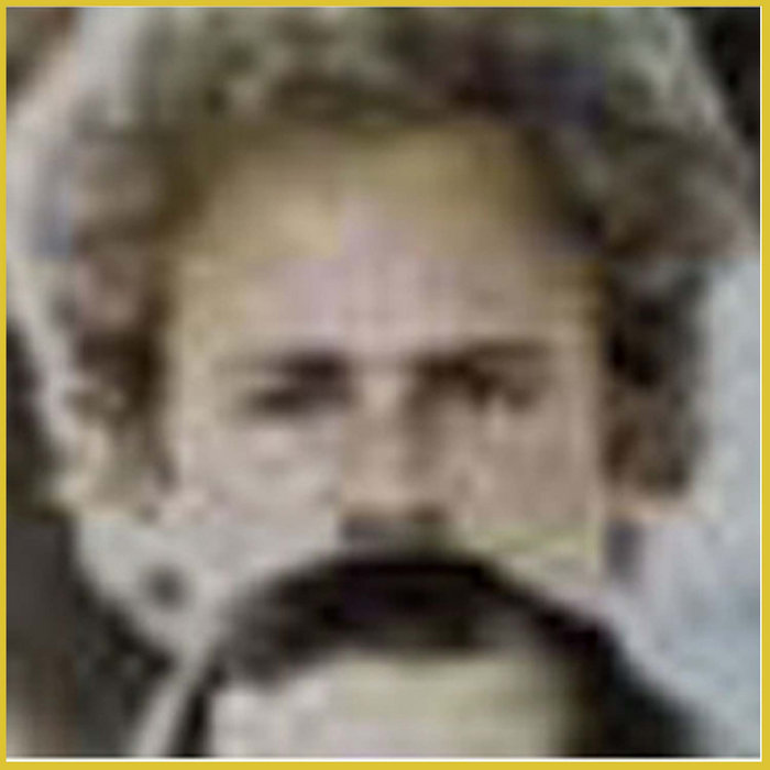 "Dan Shearer" Cassette Single | RTFO Bandwagon | Swarming Branch