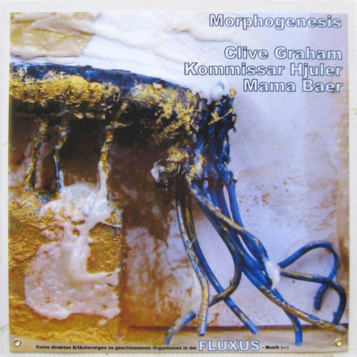 Morphogenesis - Live at Cafe Oto/Clive Graham & Kommissar Hjuler Und ...