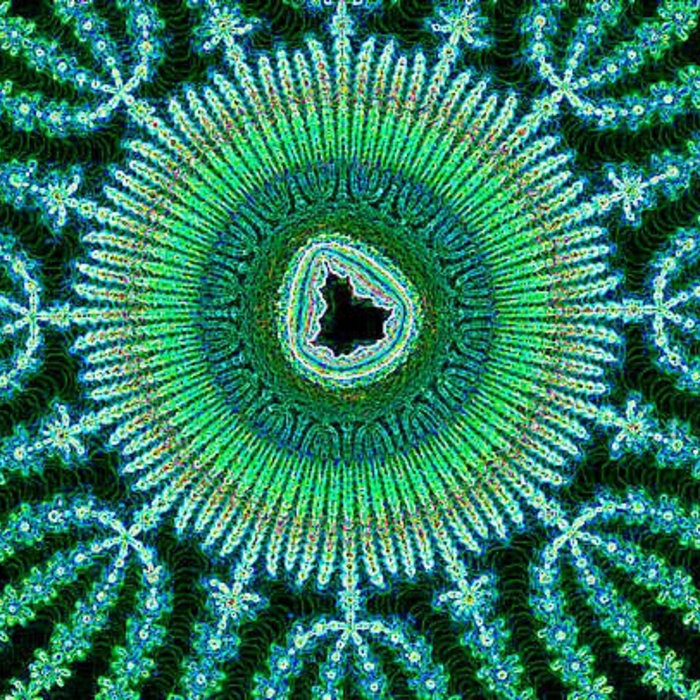 Psychedelic Meditation | Psychedelic Guru | Voluntary Mother Earth