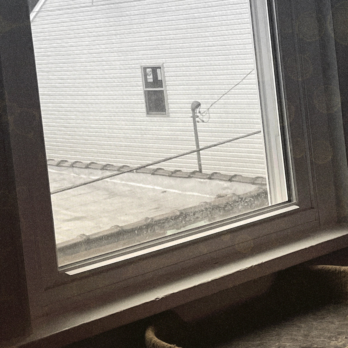 mediator | julia valenti