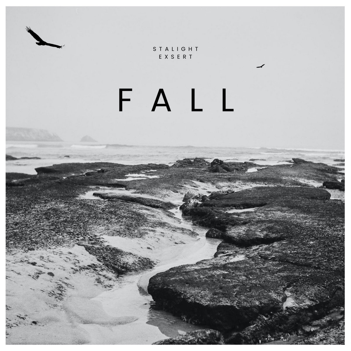 FALL | STARLIGHT EXSERT