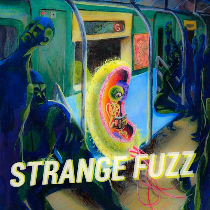 Sex Fuzz And Rock N Roll Strange Fuzz
