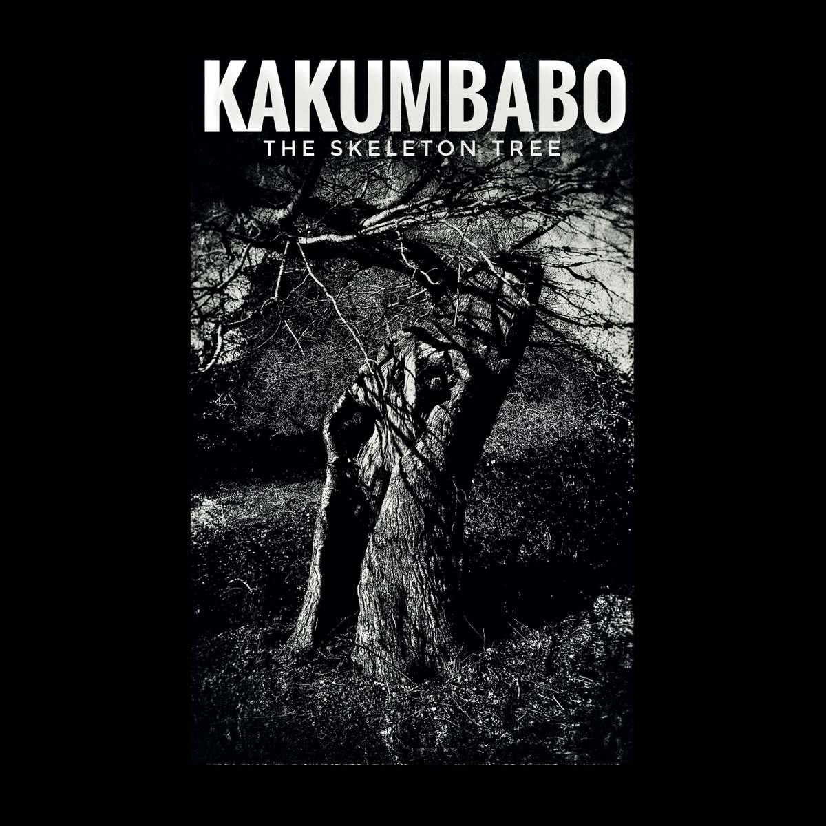 The Skeleton Tree | Kakumbabo