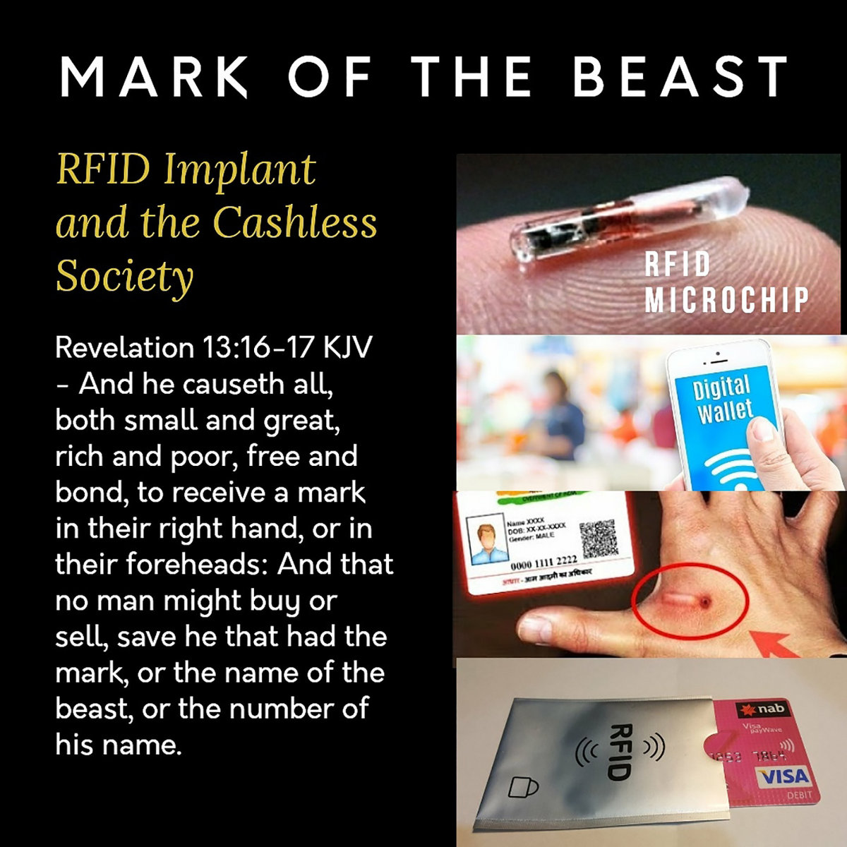 Rfid Chip 666 Mark Of The Beast