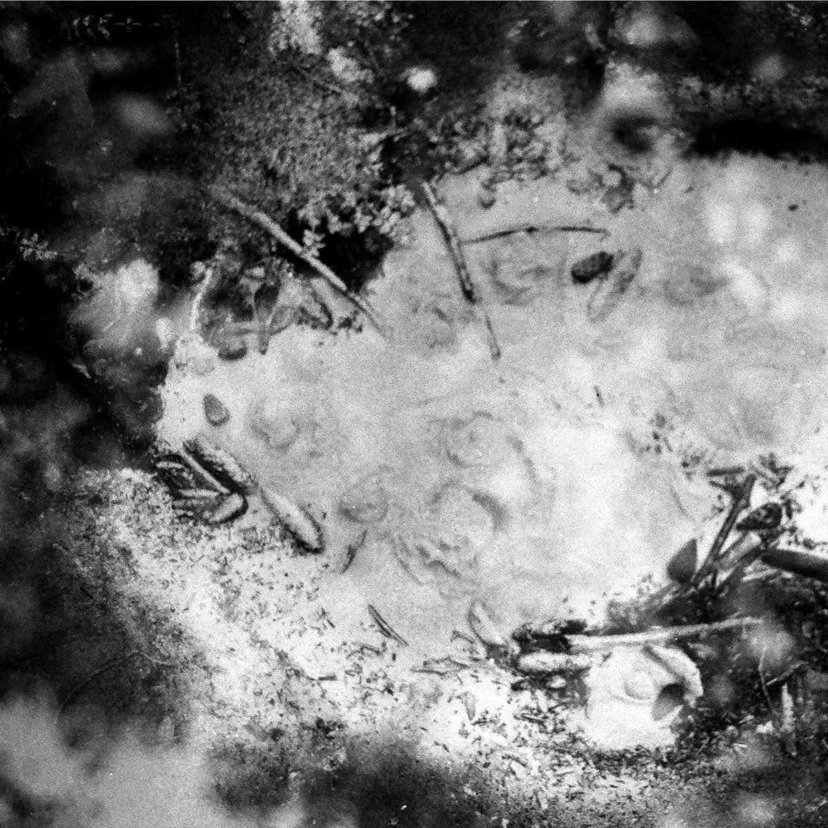 Groundwater | SILT