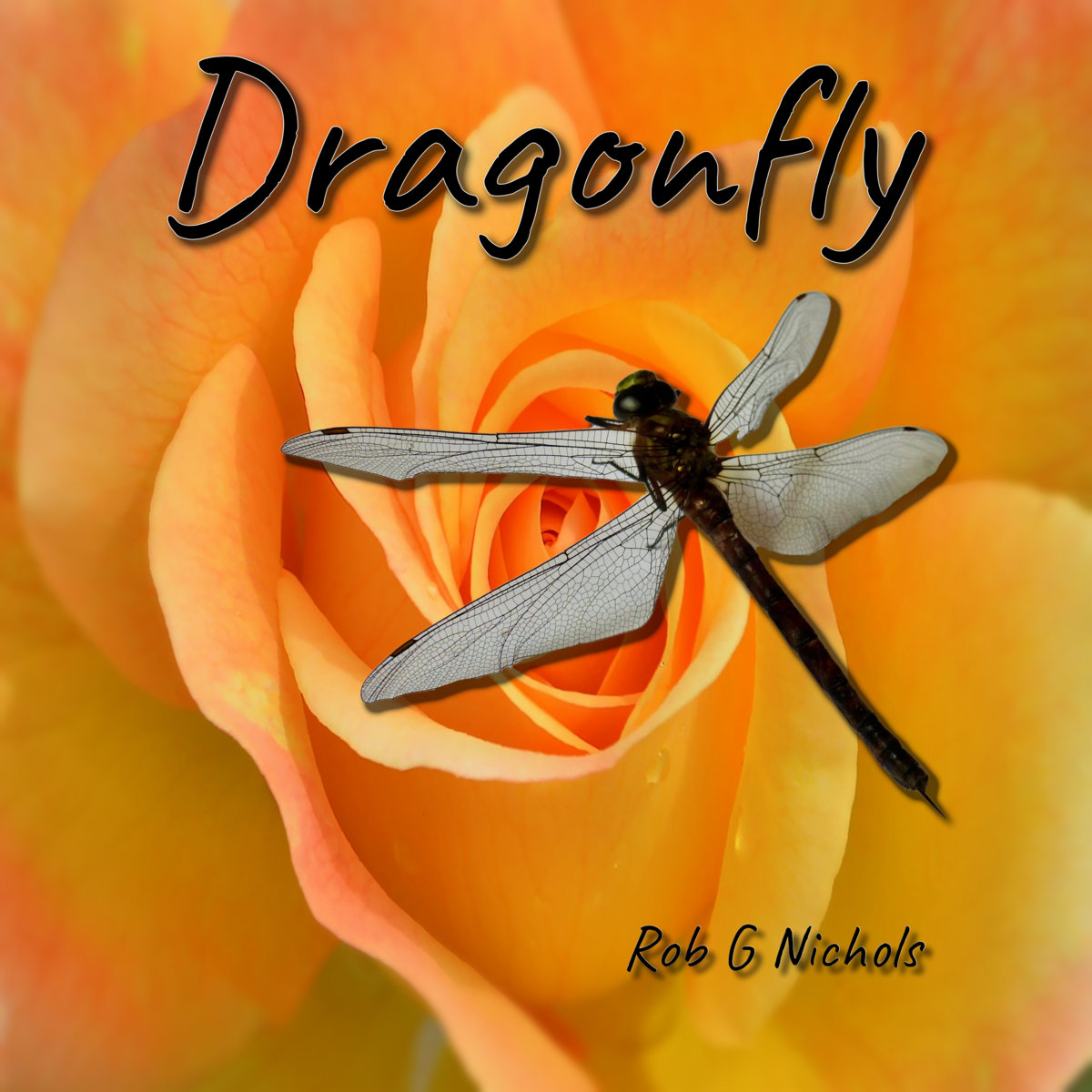 Dragonfly | Rob G Nichols