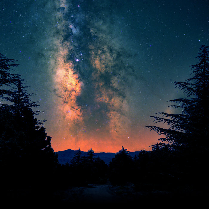Bucky & Oscuro - Starlit Meadows | Bucky
