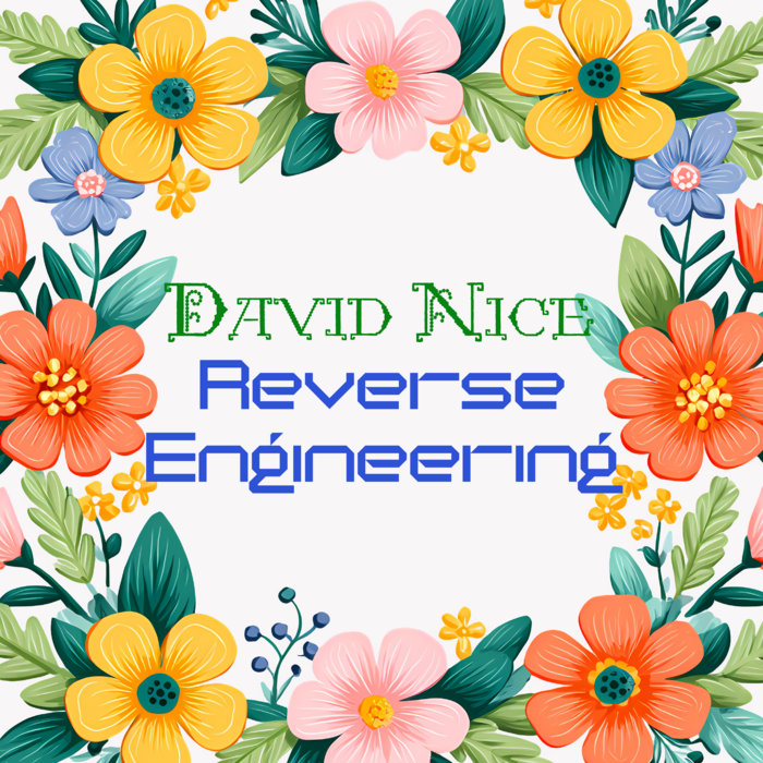 Reverse Engineering | David Nice