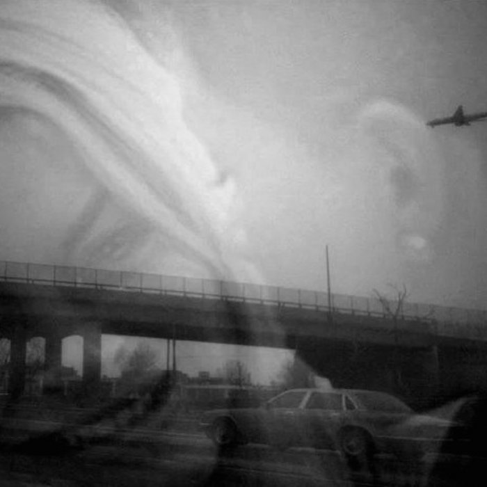 American Wildlife | David W. Sutton | David Wesley Sutton