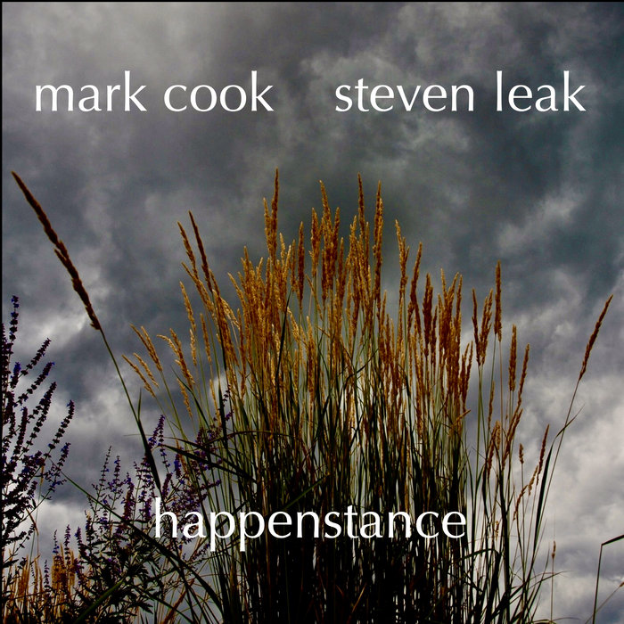 happenstance | mark cook and steven leak | steven leak