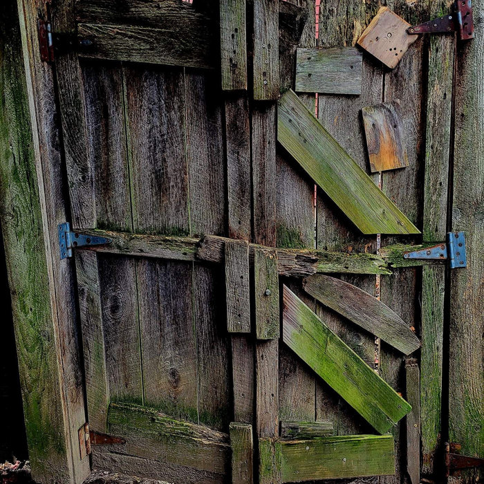 Bench in the park | electric turtle