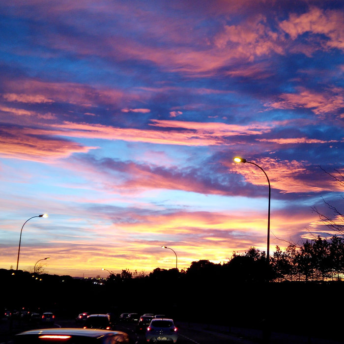 Glacier Melting Birds | HydroPopNick