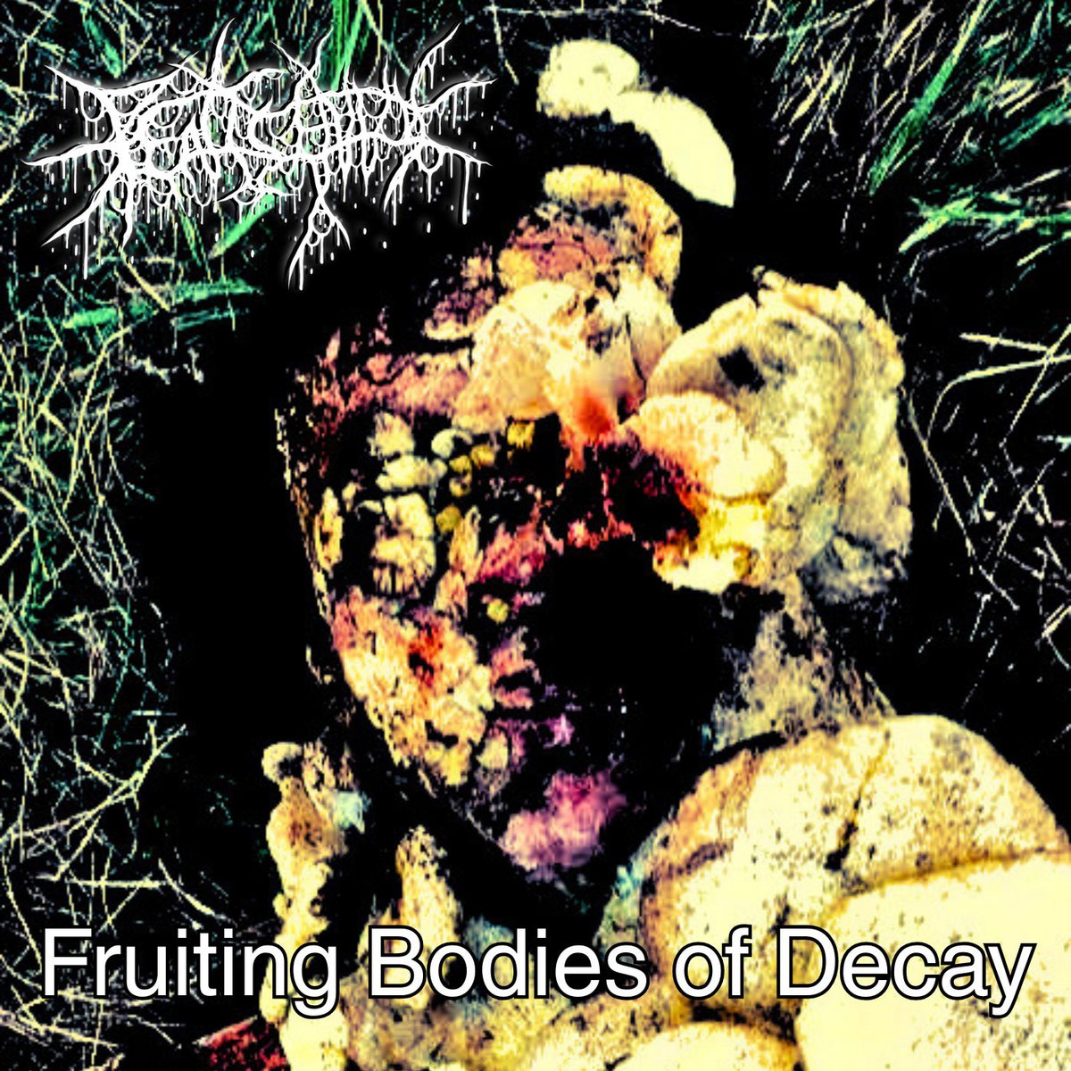 Fruiting Bodies of Decay | Penis Envy