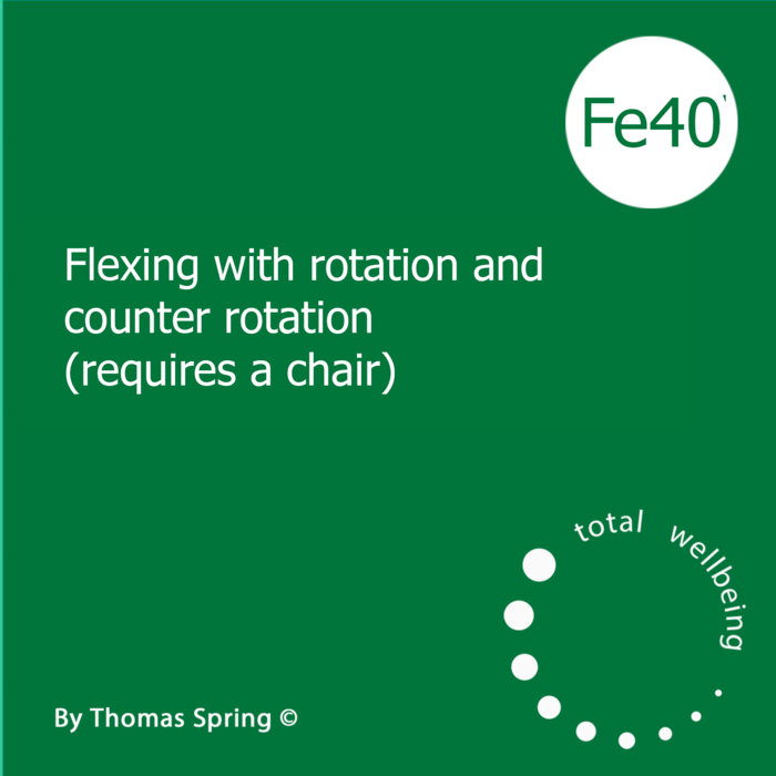 Fe40 Flexion with rotation and counter rotation | Thomas Spring ...