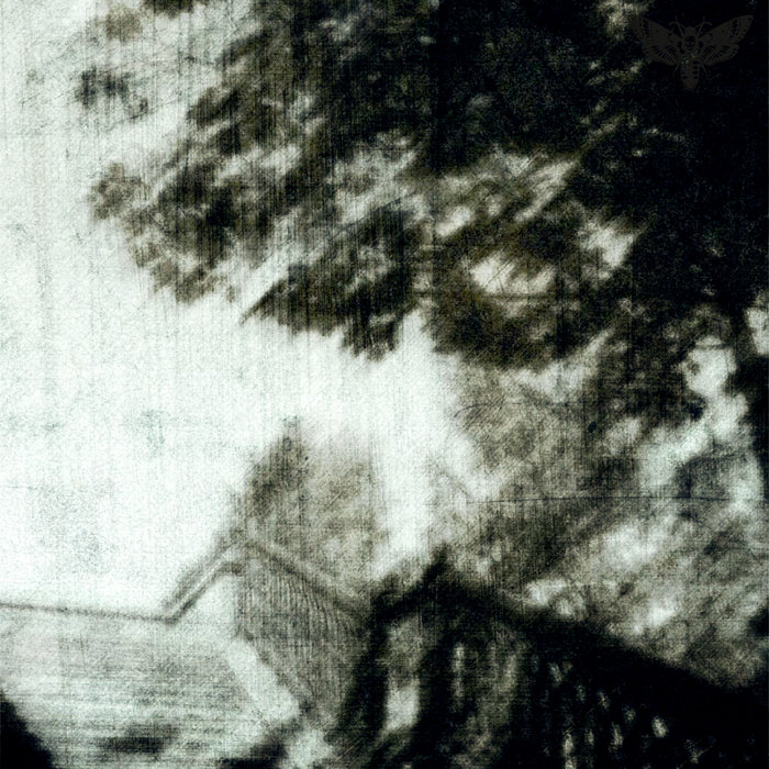 Shadows of Dead Spring | Polterngeist | Ignis Fatum
