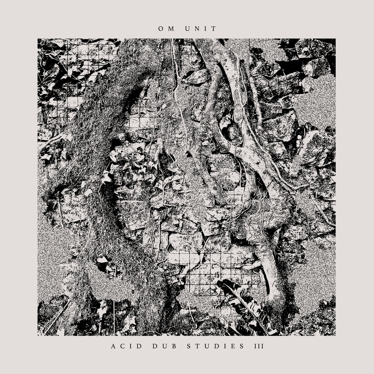 Acid Dub Studies III (LP) | Om Unit