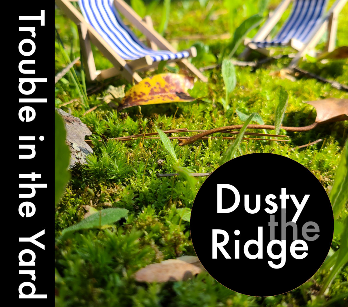 Trouble in the Yard | The Dusty Ridge