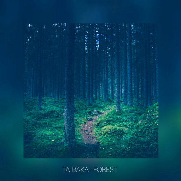 Forest | TA-BAKA
