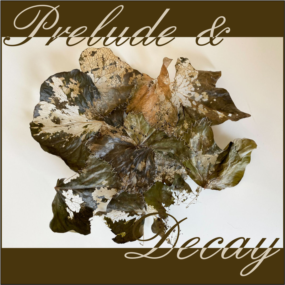 Prelude and Decay | Michael Amos | The KIVA Band