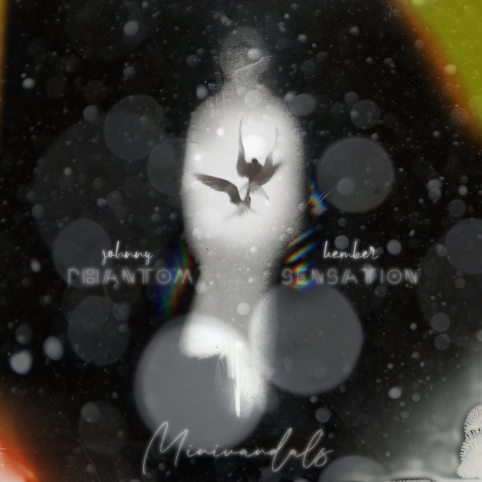 Phantom Sensation | THE MINIVANDALS | Johnny Kember