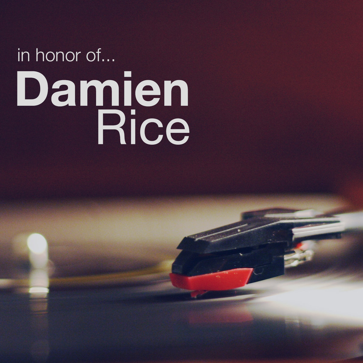 Damien Rice Albums