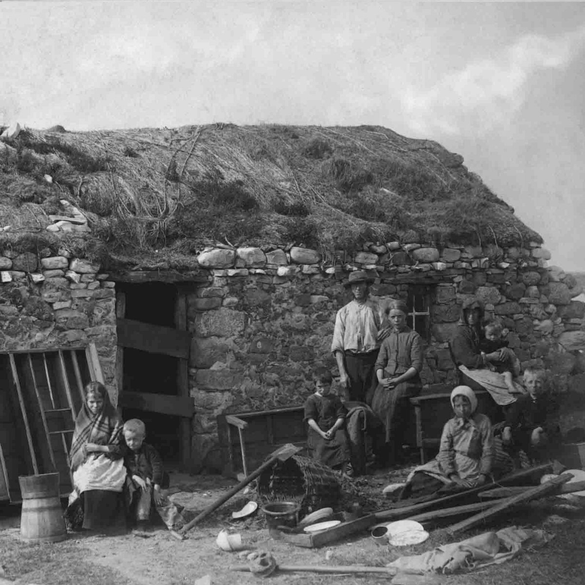 The Midden Heap | Demoiselles