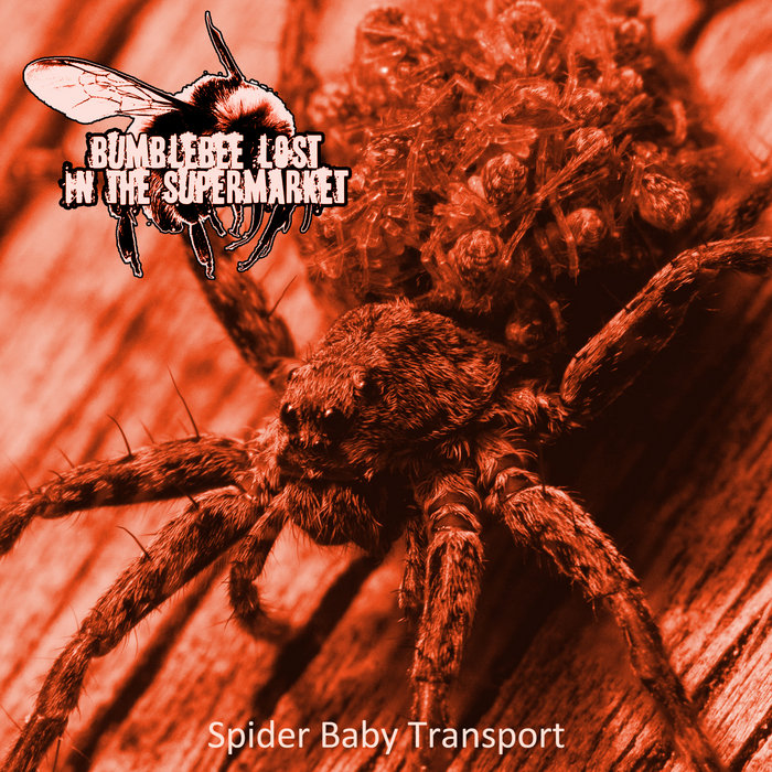 Spider Baby Transport (Demo) | Bumblebee Lost In The Supermarket