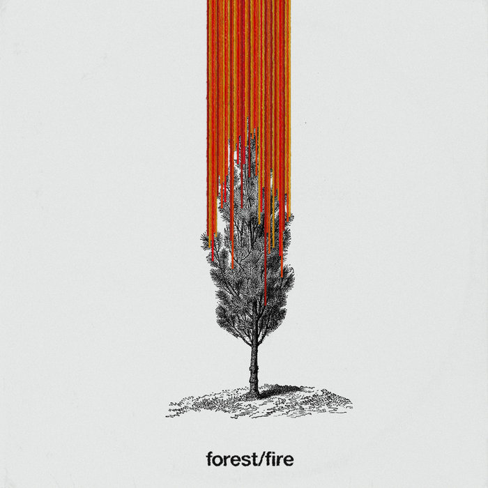 forest/fire | Man With Roses