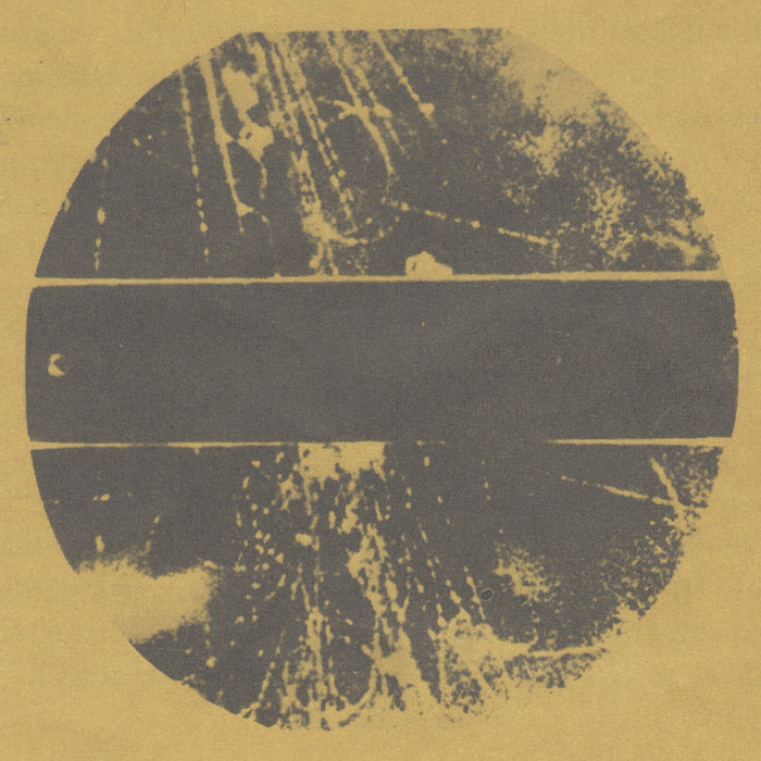 LP | Container | Spectrum Spools