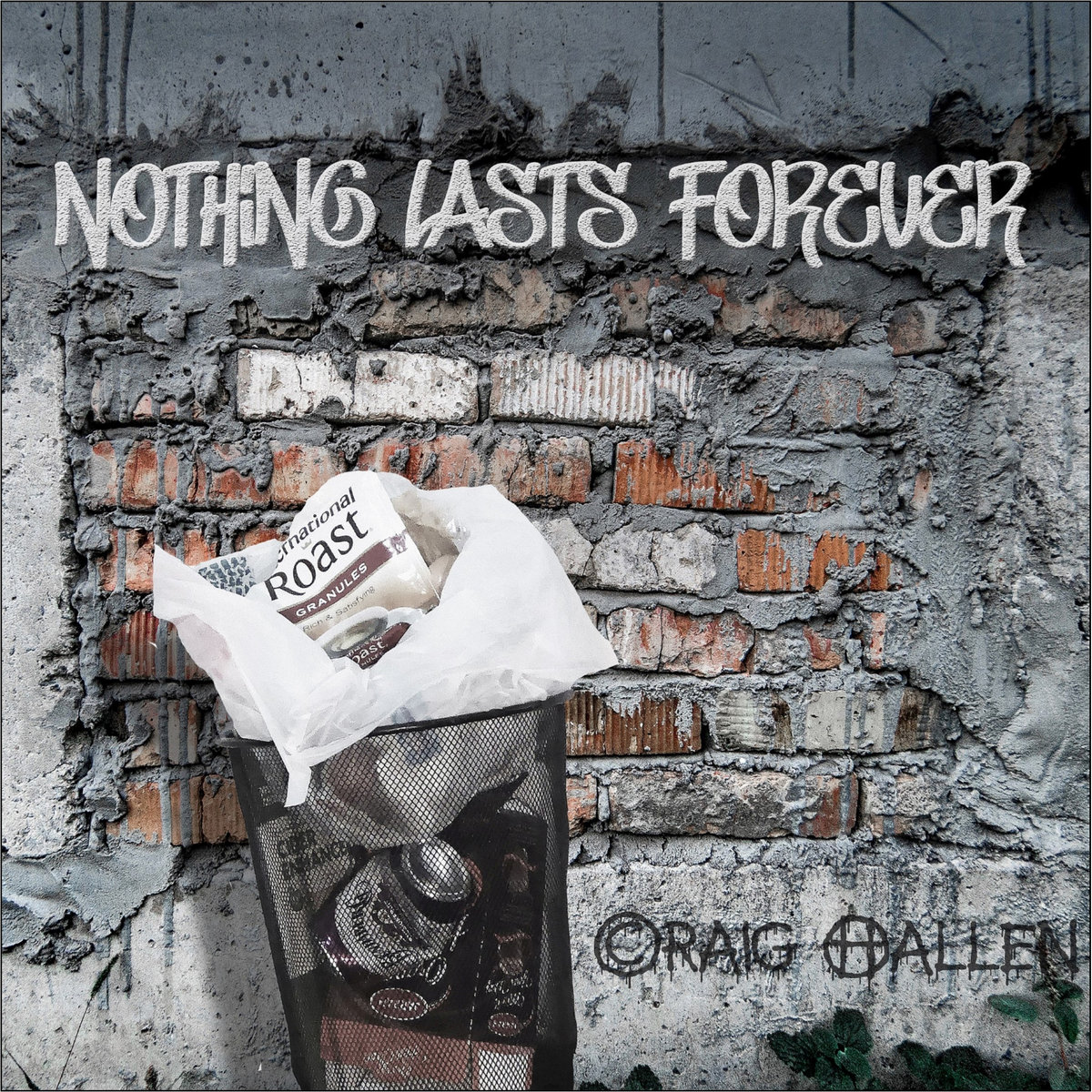 Nothing Lasts Forever | Craig Hallen