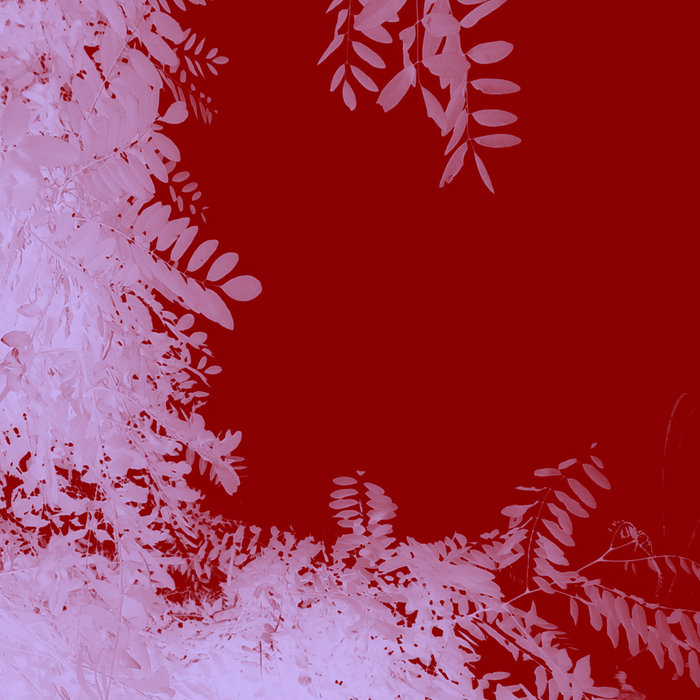 Volcano 5 | Chris Roscoe | The Unstoppable Stingrays