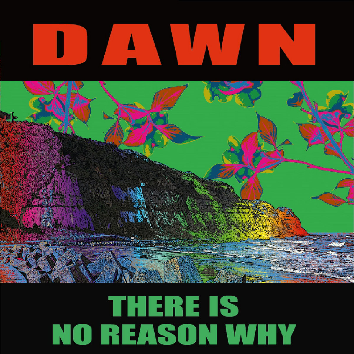 There Is No Reason Why 10" | DAWN | DEBAUCH MOOD