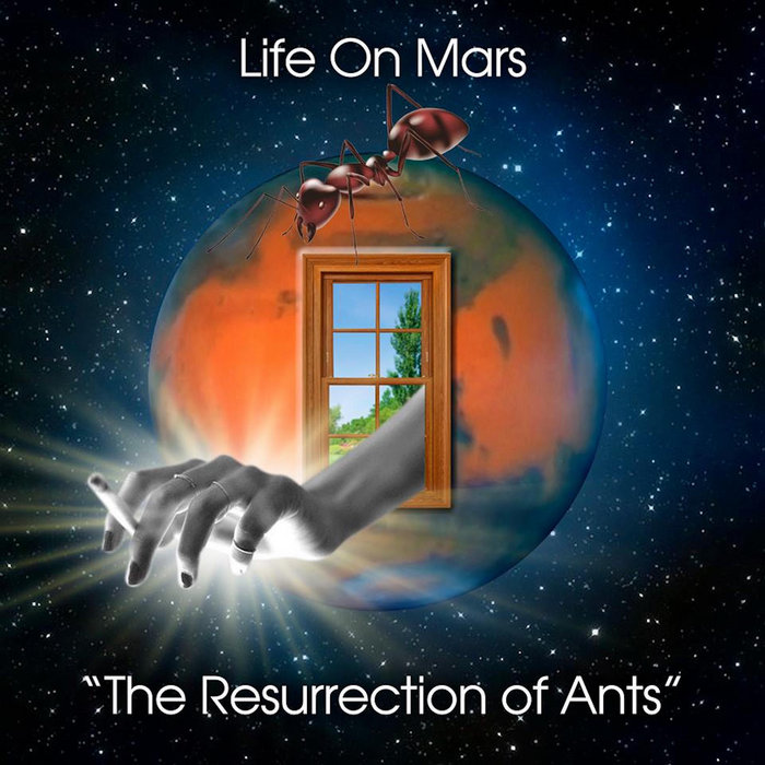 The Resurrection of Ants | Life On Mars