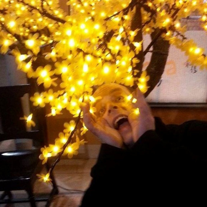 Telstar Station | Alan Madej