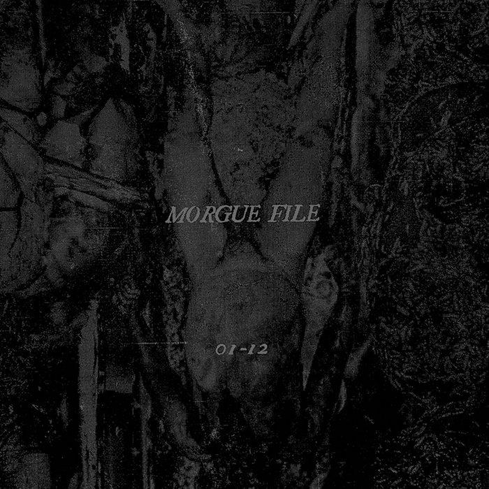 Files 01-12 Compilation | Morgue File