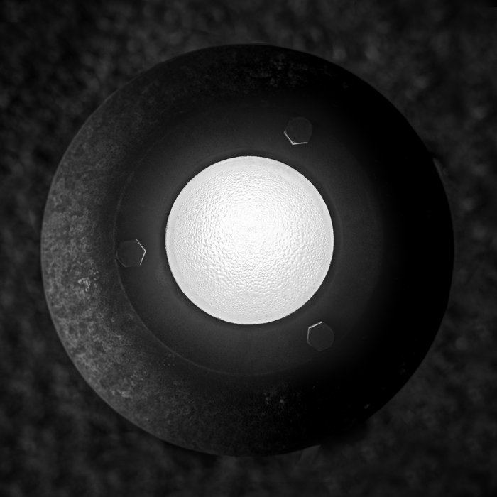 Chasing Light | Sire