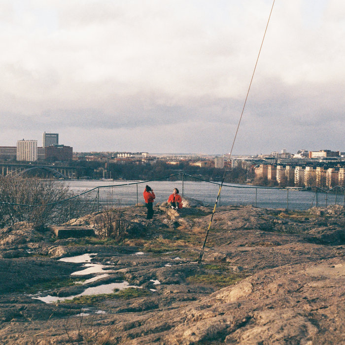 disintegration | ameeva