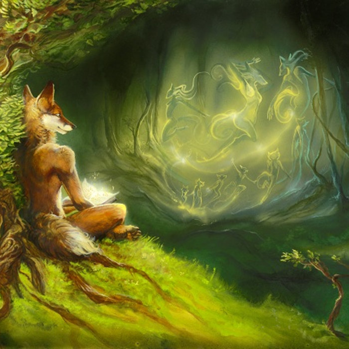 Whenever I Read | Fox Amoore