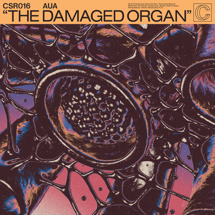 The Damaged Organ | AUA