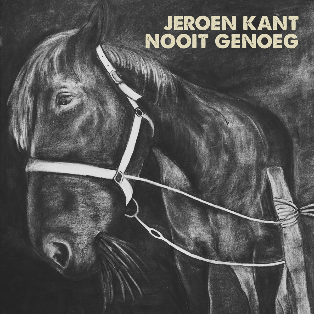 Nooit Genoeg | Jeroen Kant