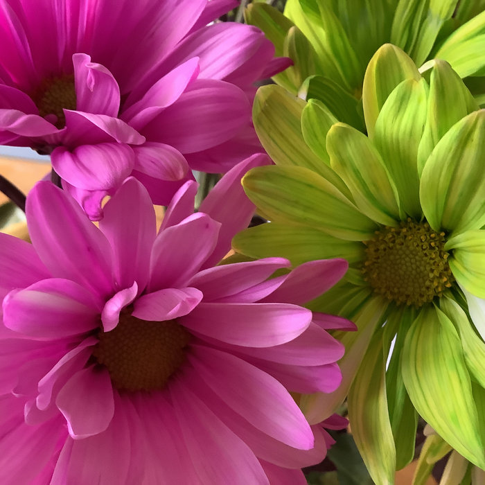 Can’t You Feel? (Single) | Emily