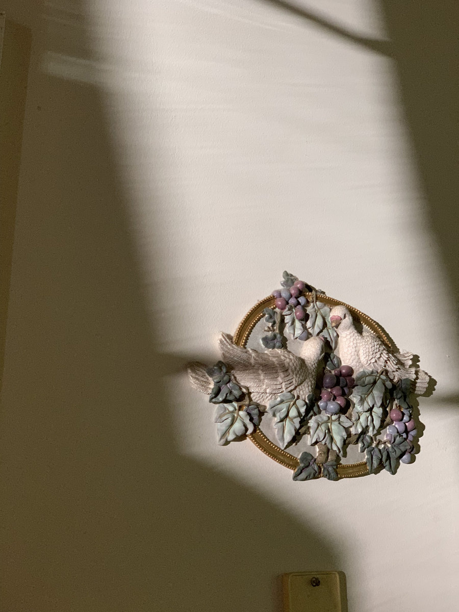 The Duck Tapes | Yes Man Jr.