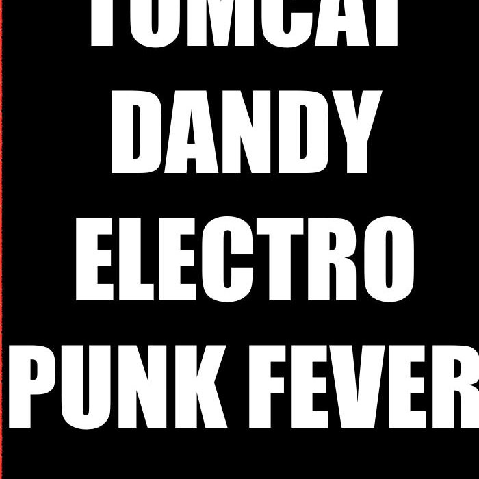 Electro Punk Fever! | Tomcat Dandy