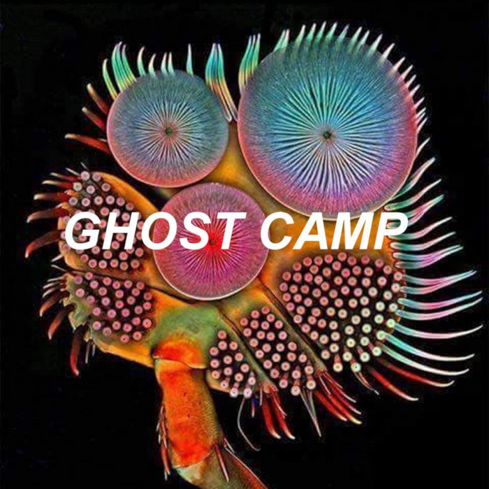 Ghost Camp | Ghost Camp