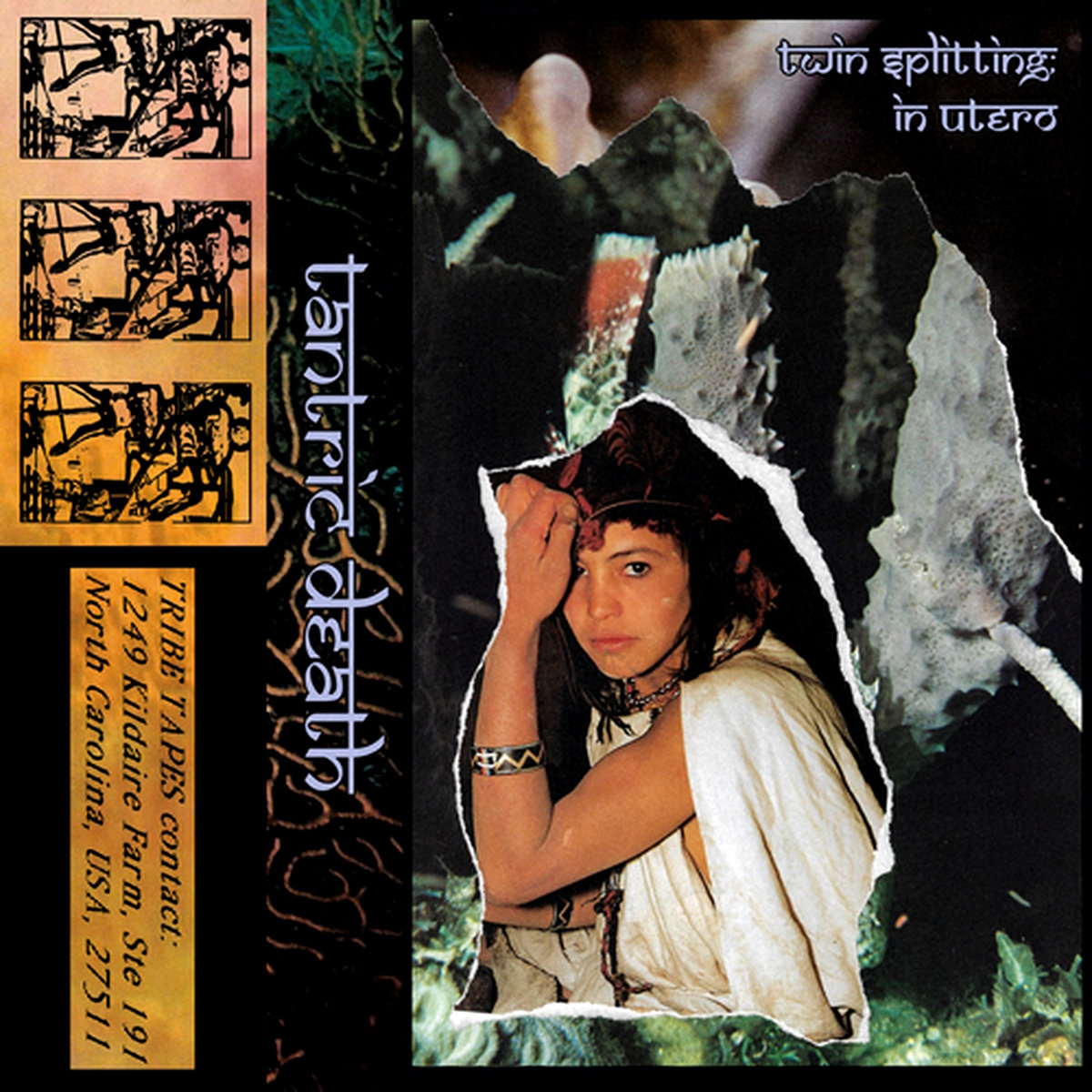 Twin Splitting; In Utero | Tantric Death