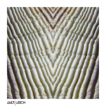 Music | Andy Leech