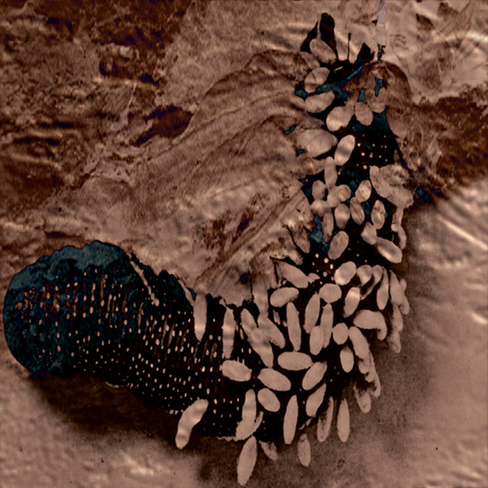 Slug Parasite [EP] | Skattor Minox | CyberfArts