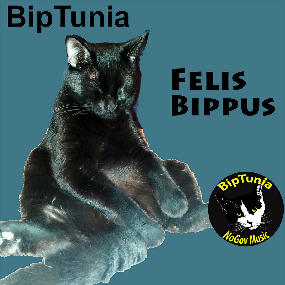 Felis Bippus | BipTunia